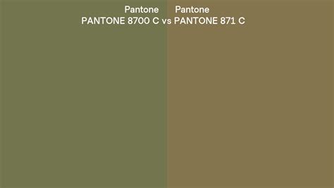 Pantone 8700 C Vs PANTONE 871 C Side By Side Comparison