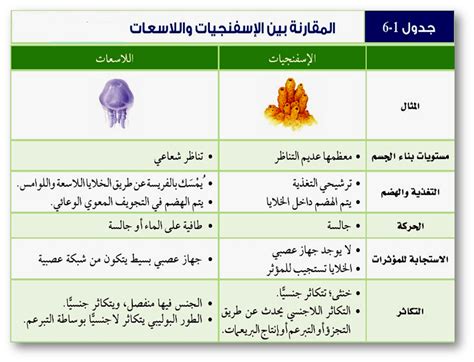 اللاسعات On Emaze
