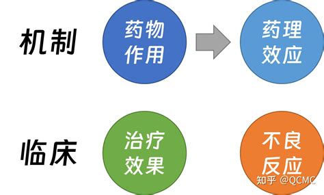 药物作用的基本知识 知乎