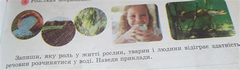 Помогите пажалуйстааааа Запиши яку роль у житті рослин тварин і людини відіграє здатність