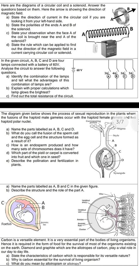 Solve Q1 Q2 Q3 Q4 Q5 And Answer All