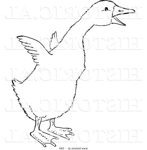 Рисунок гуся карандашом 68 фото