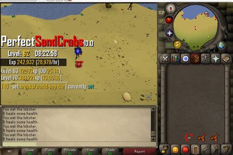 Perfect Sand Crabs Combat And Slayer Osbot 2007 Osrs Botting