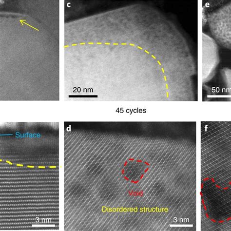 Spatial And Temporal Evolution Of Structural Degradation From The Download Scientific Diagram