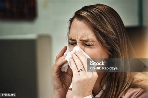 컴퓨터에 앉아있는 금발의 여 자가 재채기 그녀의 코를 불면 재채기에 대한 스톡 사진 및 기타 이미지 재채기 조명 장비 화장지 Istock
