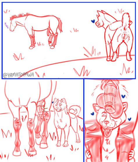 Rule 34 Absurd Res Akita Alseep Animal Genitalia Animal Penis Anus