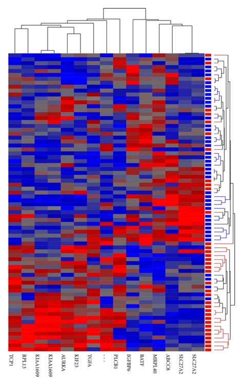 Heat Map And Hierarchical Clustering Of 76 Primary Tumor Samples Based