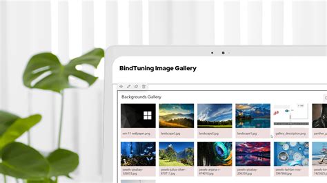 Image Gallery Web Part Bindtuning