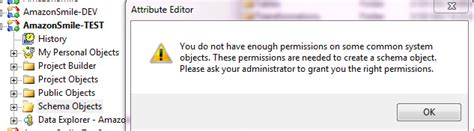 You Do Not Have Enough Permissions On Some Common System Objects