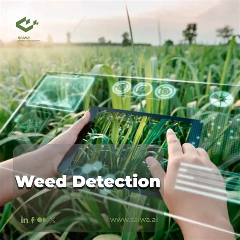 Agritech Insights On Linkedin Deep Learning Revolutionizes Weed