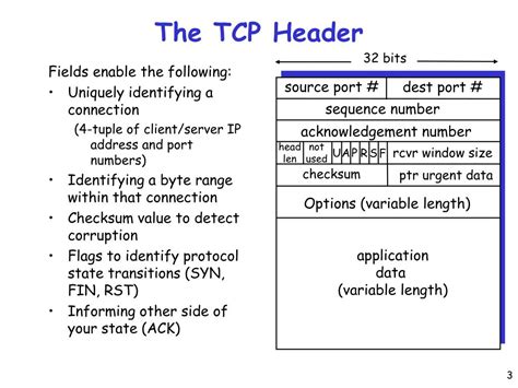 PPT The TCP Protocol PowerPoint Presentation Free Download ID