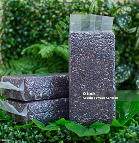 플라스틱 진공 밀봉 봉지에 담긴 흑미 포장 모형 컬렉션 스탠딩 프론트 뷰 패키지 가득 찬에 대한 스톡 사진 및 기타 이미지 가득 찬 가방 건강한 생활방식 Istock