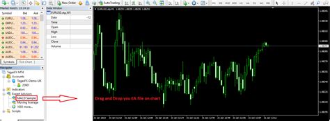 How To Install EA In MT