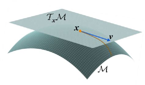 Figure 1 From Neural Dynamics Of Complex Networks Embedded In Hyperbolic Spaces Semantic Scholar