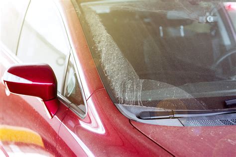 5 Easy Ways To Remove Sticky Residue From Your Windshield