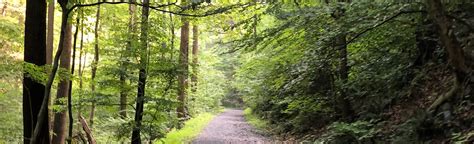 Nolde Forest Outer Loop Pennsylvania 658 Reviews Map Alltrails