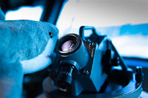 Shark On The Ship Is Here Uss George Washington Cvn 73