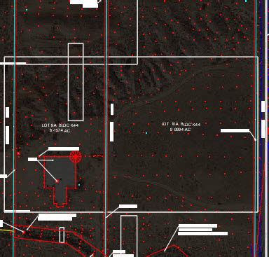 Survey Issue Revit News