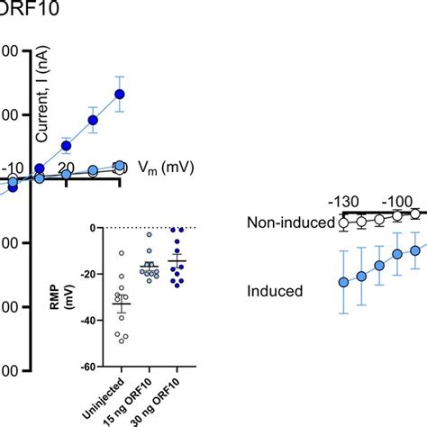 SARS CoV ORF Current Voltage Relationships Left Two Electrode Download Scientific Diagram