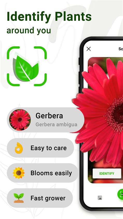Leafid Ai Plant Identifier Apk Download For Android Latest Version
