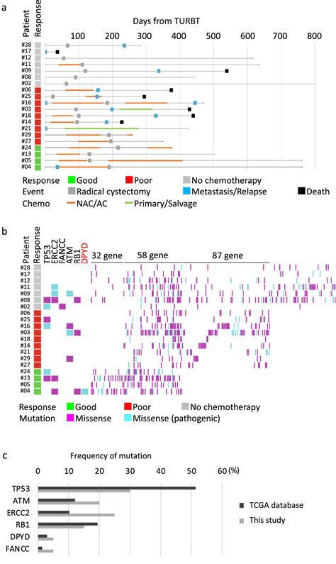 Clinical Course And Mutation Landscape In 20 Patients With Bc A