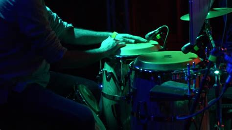 237 Bongo Player Stock Videos Footage And 4k Video Clips Getty Images