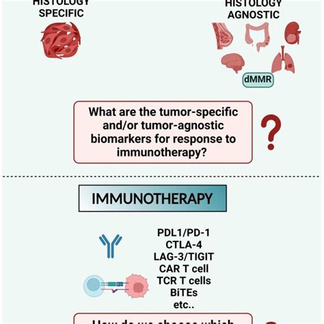 General Scheme Of Biomarkers For Response To Immunotherapy Several
