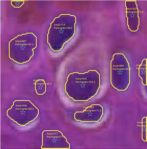 github renaissancet image segmentation and analysis matlab segment
