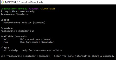 Running The Ransomware Simulator With Run Argument Starts The Process