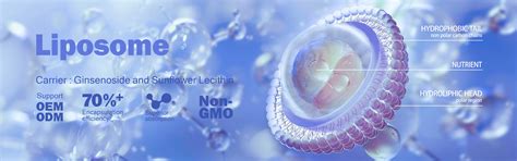 Is Vitamin H Powder Used In Anti Hair Loss Serums？ Knowledge