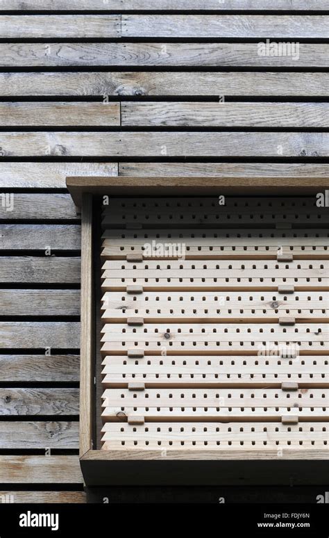 Mason Beehive Situated High On The Wood Cladding In The South Courtyard