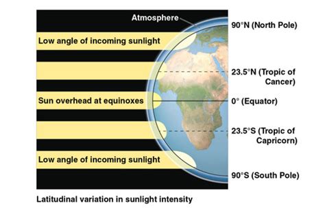 Unit 2 Lecture 5 Climate And Biomes Flashcards Quizlet