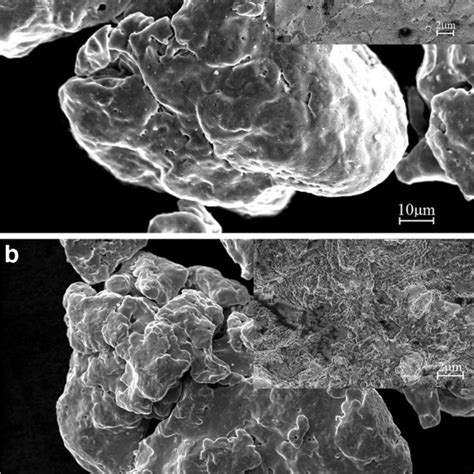 Sem Micrographs Of A The Original Iron Powder And B Parylene C Coated Download Scientific