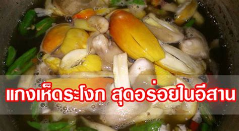 แกงเห็ดระโงก สุดแซ่บ แซ่บสุดดด