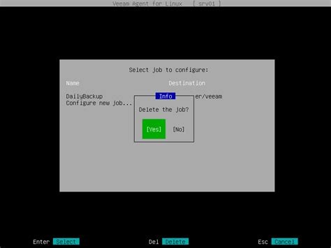 Deleting Backup Job Veeam Agent For Linux User Guide