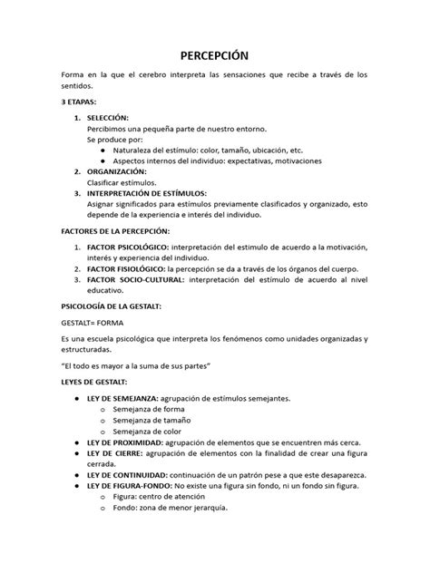 Infografía Percepción Pdf