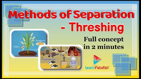 Class 6 Science Separation Of Substances Methods Of Separation Threshing Learnfatafat