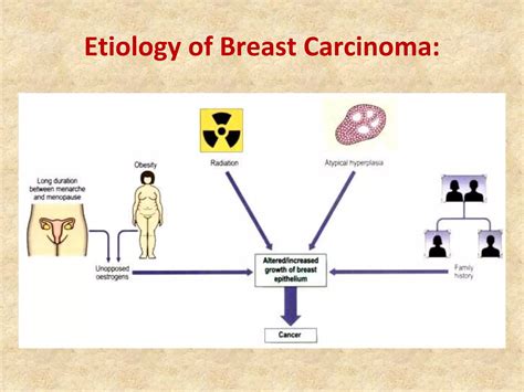 Breast Malignant Lesions Overview Pptx
