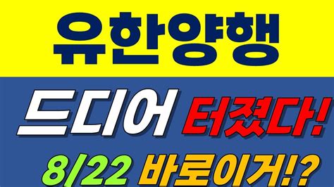 유한양행 주가전망 822 드디어 터졌다 바로이거 Youtube