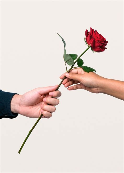 Hand Holding Rose Artofit