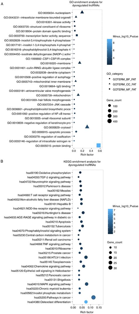 Functional Enrichment Analysis Of Dysregulated Lncrnas And Mrnas A