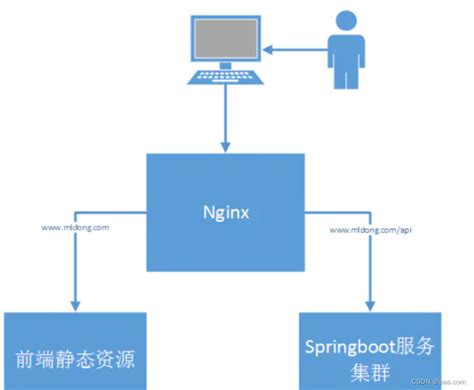 初识kubernetes的理论基础 apl server csdn博客