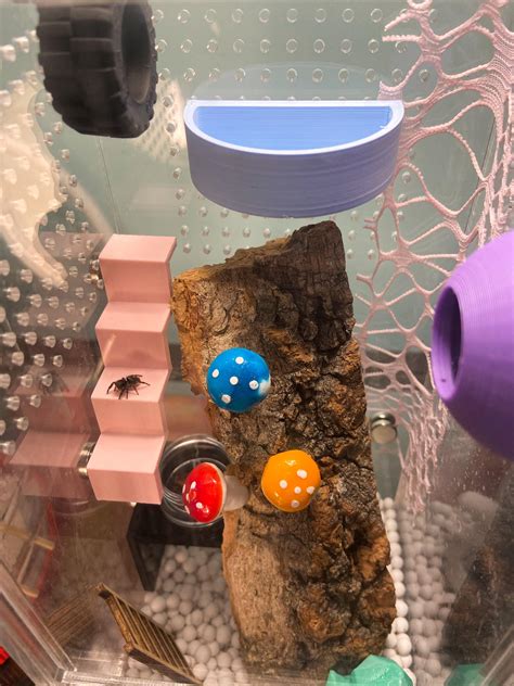 226 Best Juvie Images On Pholder Chiraqology Tarantulas And Theisle