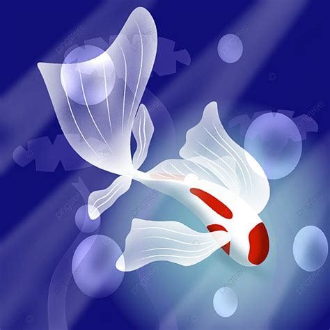 잉어 물고기 배경 바다에서 잉어 물고기 배경 수중 잉어 물고기 배경 물고기 클립 아트 배경 일러스트 및 사진 무료 다운로드 Pngtree