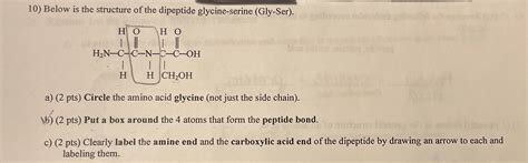 Solved Below Is The Structure Of The Dipeptide