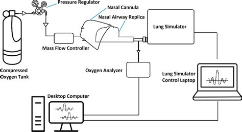 Schematic Of The Experimental Setup Arrows Indicate Flow Direction