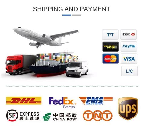 China Low Price Mindray Dp 10 B W Digital Ultrasound Scanner Portable Ultrasound Machine Price