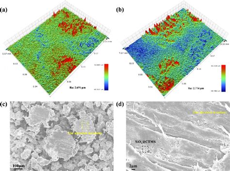 Morphological Analysis Of The Ptfe Sio 2 Ctmsandna 2 Sio 3 Atp Download Scientific Diagram