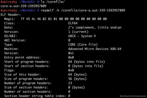 Linux进程core Dump机制systemd Coredump Csdn博客
