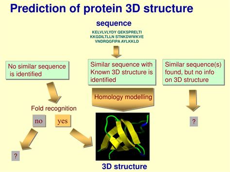 Ppt Prediction Of Protein 3d Structure I Comparative Modelling